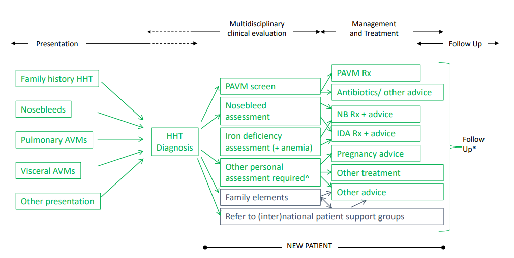 First Two Patient Pathways For HHT And HTAD-WGs Now Available! | VASCERN