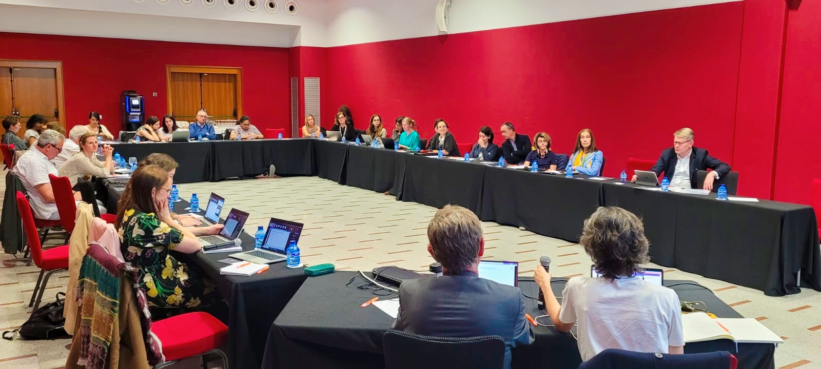 Recap Of The Heritable Thoracic Aortic Diseases Spring Meeting | VASCERN