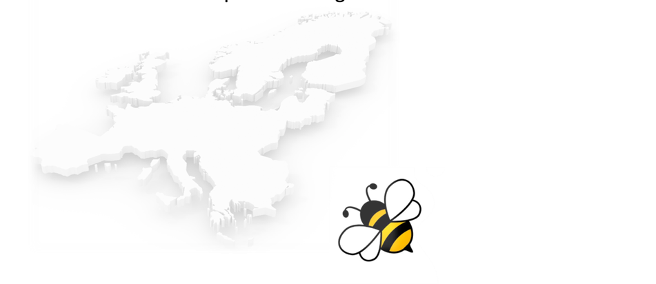 Based On Evidence European (BEE) Meeting | VASCERN