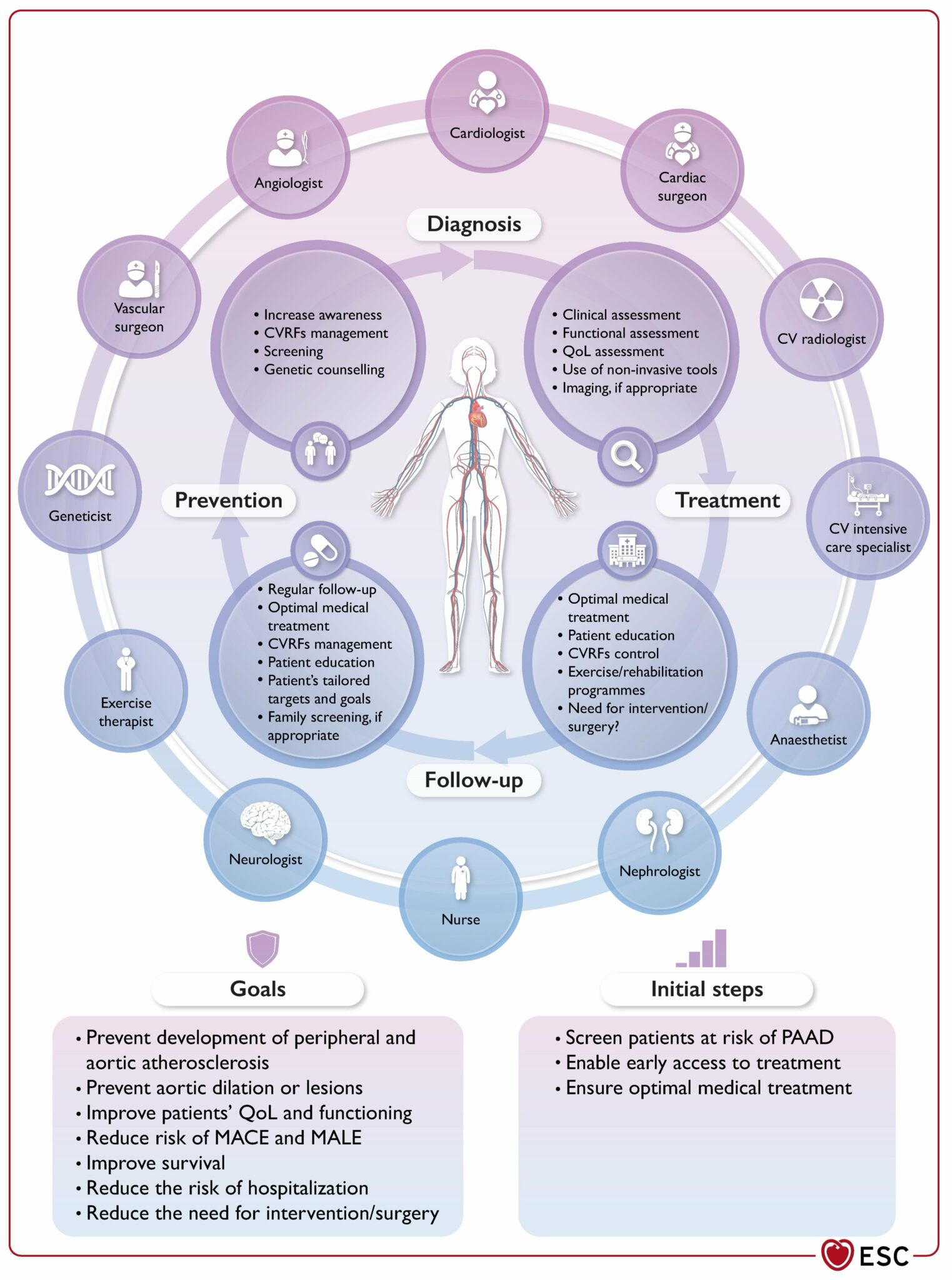 New 2024 ESC Guidelines On Peripheral Arterial And Aortic Diseases ...