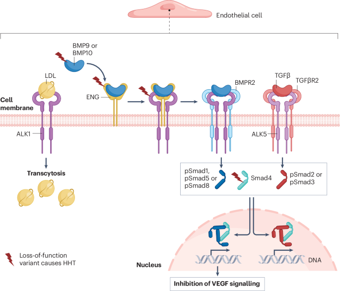 New Research Highlights Advances In Understanding And Managing ...